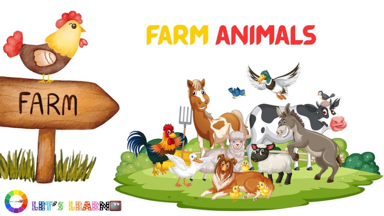 Farm Animals Video for Kids | Farm animals | Farm animals name | Home ...
