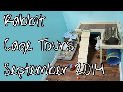 BudgetBunny: First **Official** Rabbit Cage Tours | September 2014 ...
