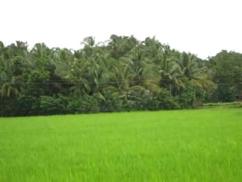 My beautifull village_Puthucode-2 - YouTube