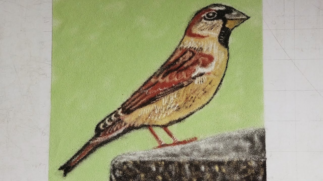Unique and Attractive Sparrow Rangoli | Scenery Rangoli of sparrows ...