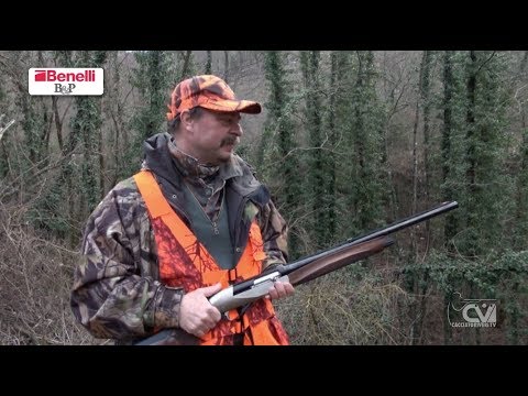 Test Benelli Raffaello a caccia di cinghiali con le Baschieri & Pellari Black Shock