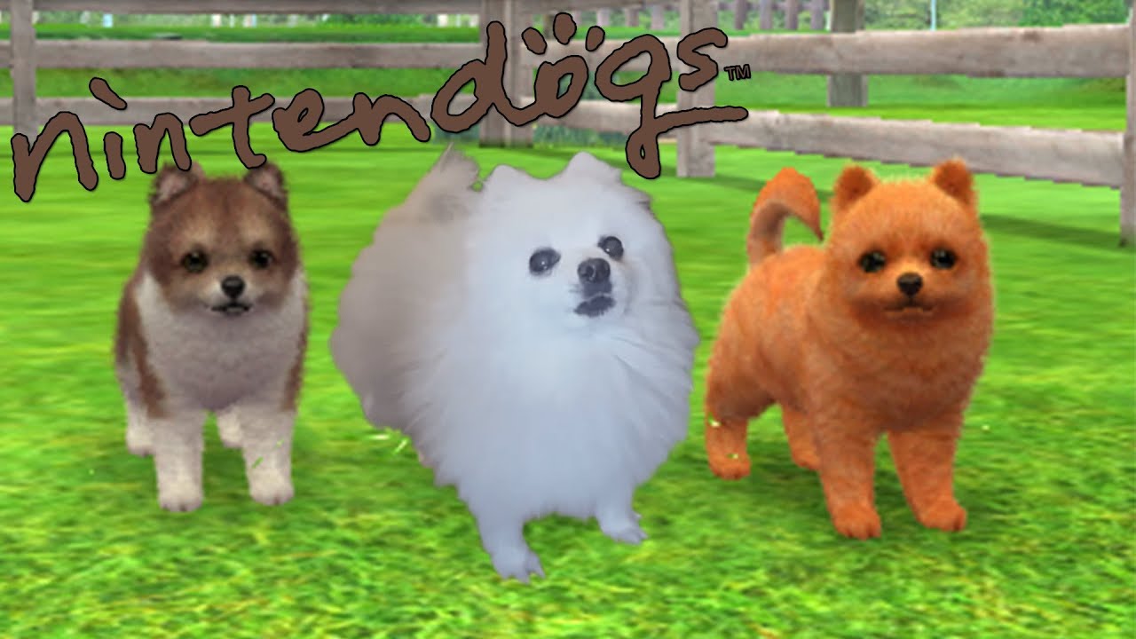 YTPMV - Nintendogs Shopping Theme - YouTube