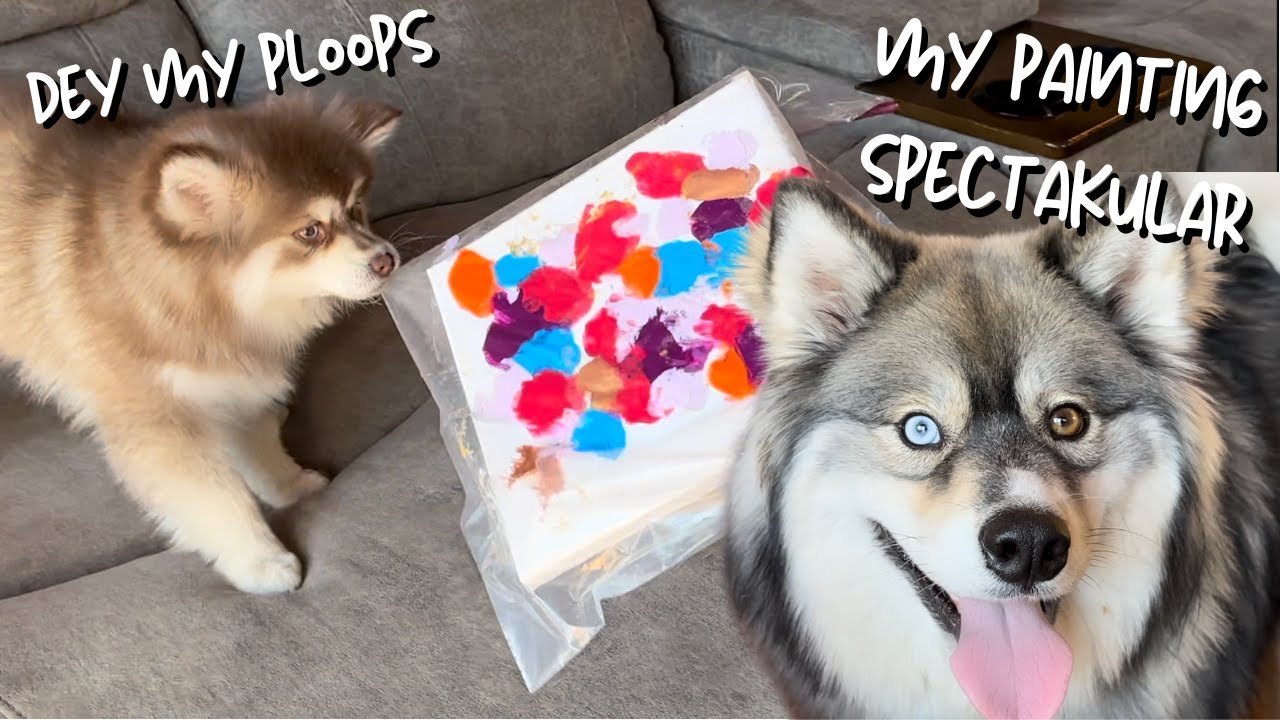 My Dogs are Talented Painters! Pomsky dog Art ️ - YouTube