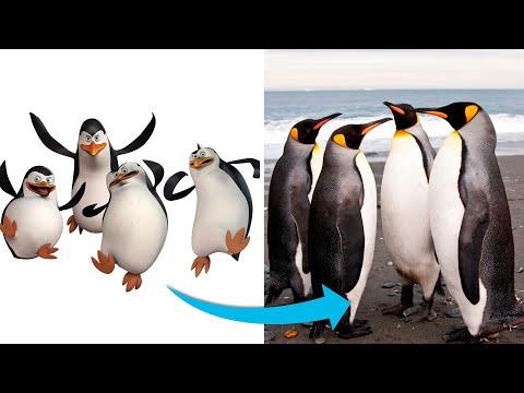 Madagascar CHARACTERS IN REAL LIFE