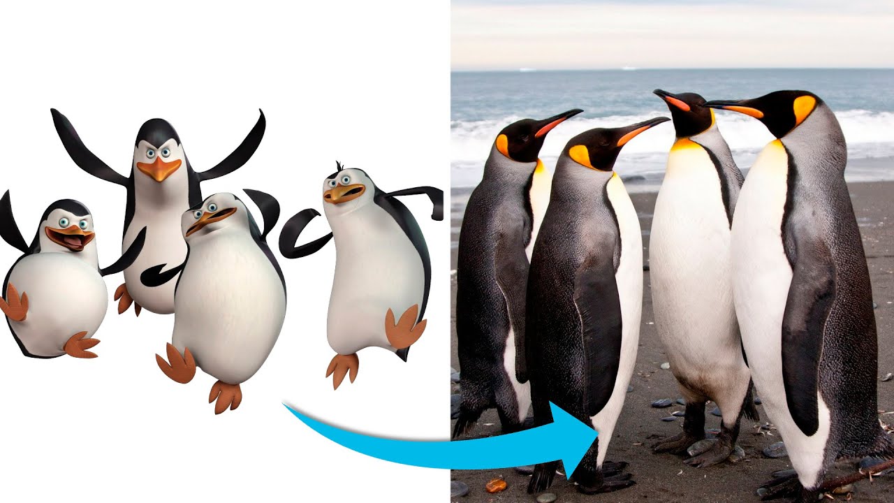 Madagascar CHARACTERS IN REAL LIFE - YouTube