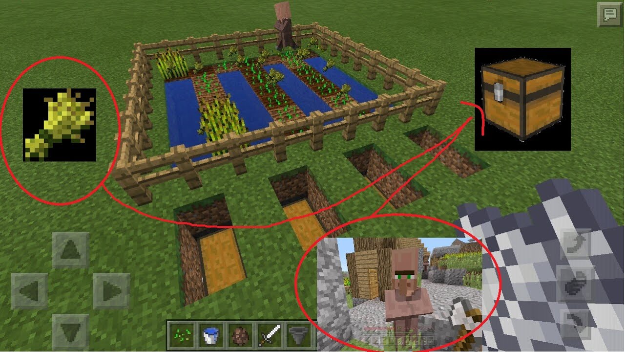 Minecraft:Cách bắt dân làng gặt lúa tự động thu vào rương trong ...