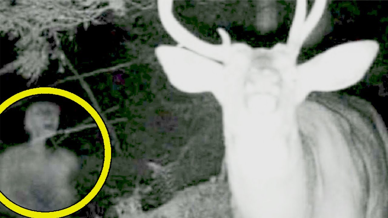 Top 10 Famous Alien Sightings Recorded in NASA History - YouTube