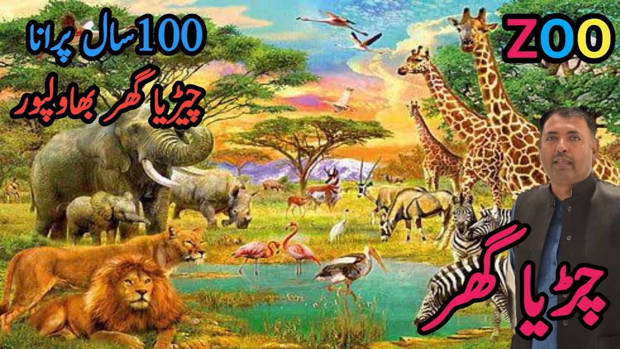 Bahawalpur Zoo Adventures You Won't Forget! - YouTube
