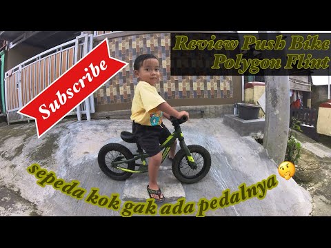 Review Push Bike Polygon Flint |#polygonflint #pushbike #reviewpushbike ...