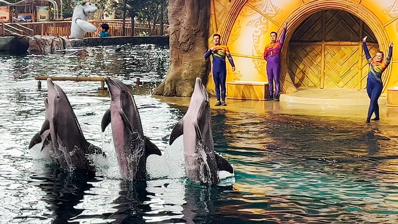 SEAWORLD WATER PARK | LARGEST MARINE LIFE PARK IN THE WORLD! - YouTube