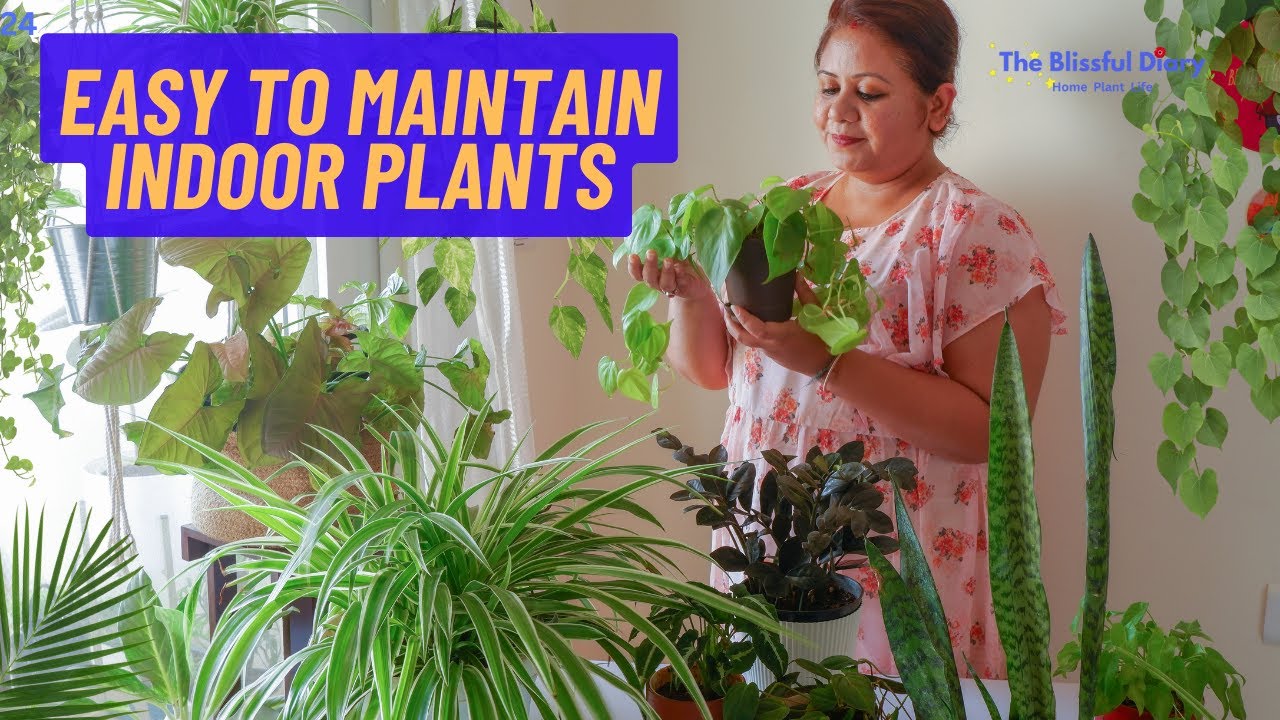 Newbie Gardener? Check Out These Easiest Plants To Take Care Of! | 7 ...