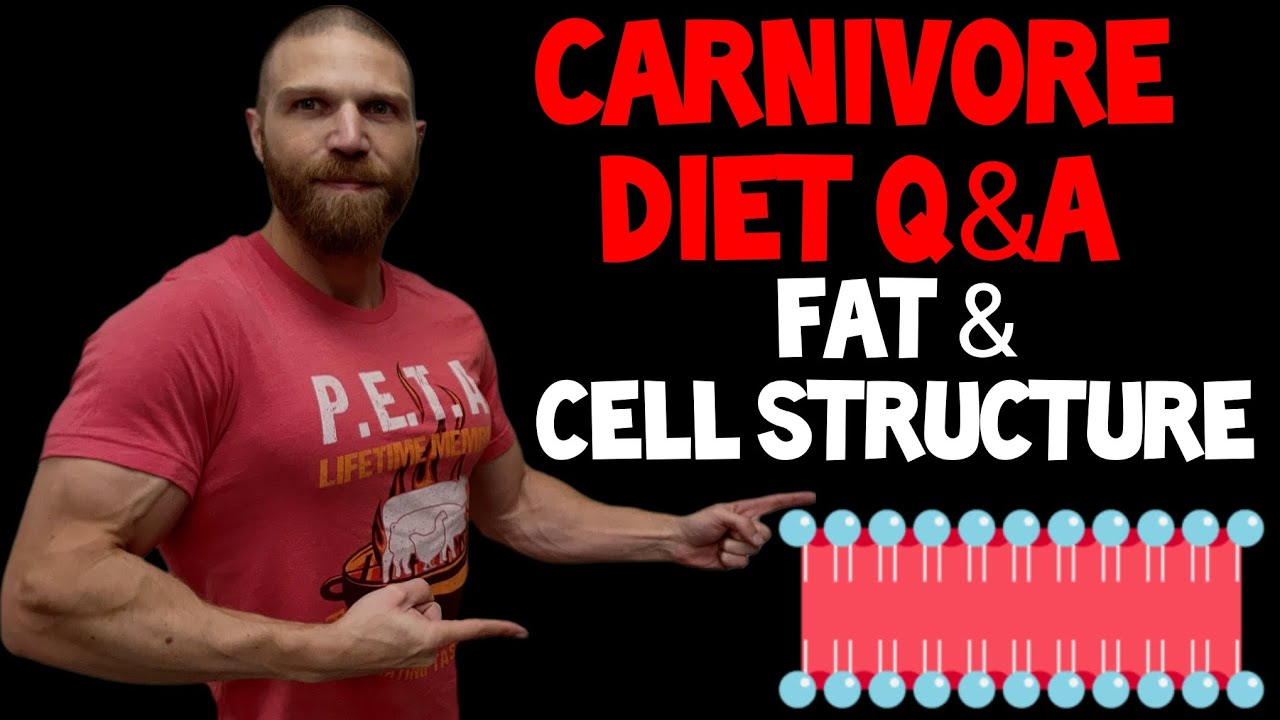 Why Dietary FAT is Important for CELLULAR REPAIR and Health | Carnivore ...