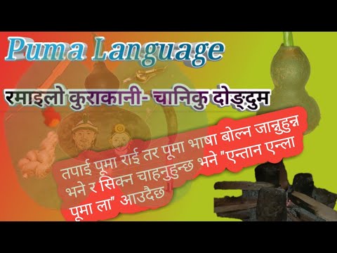puma rai language गाउँ खाने कथा - YouTube