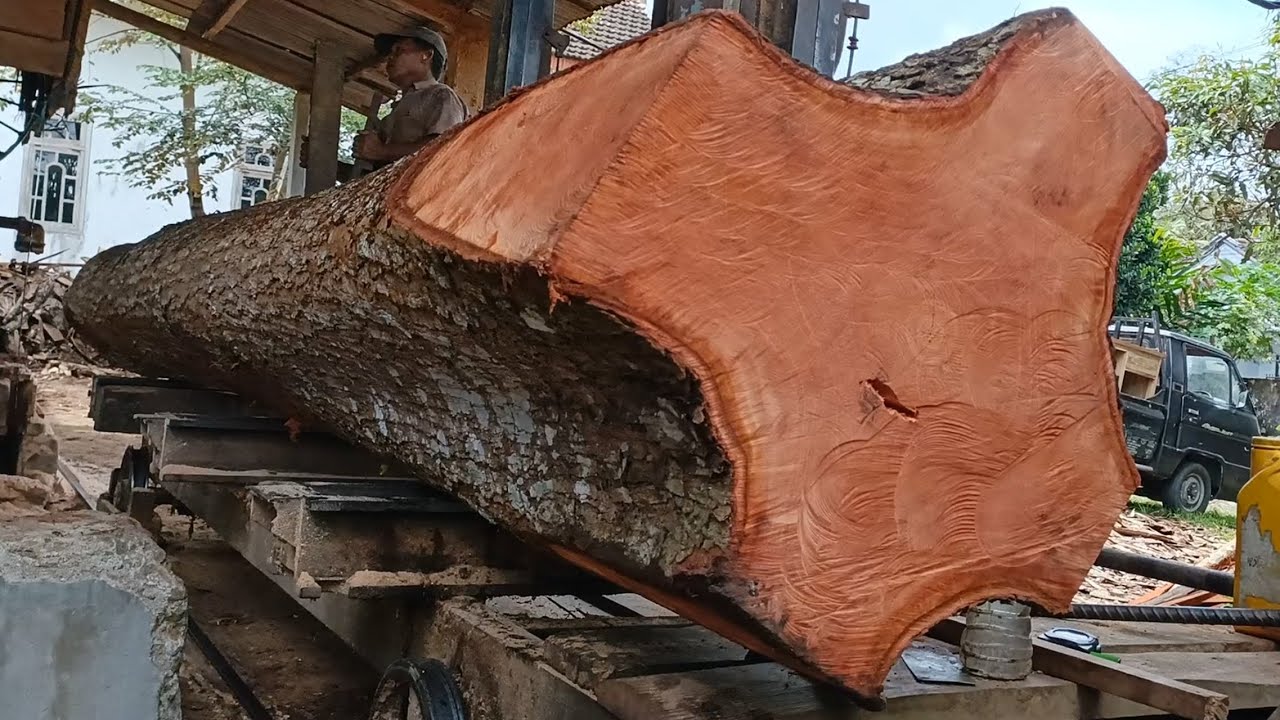 Summer surprise || Brutal tree stump sawing - YouTube