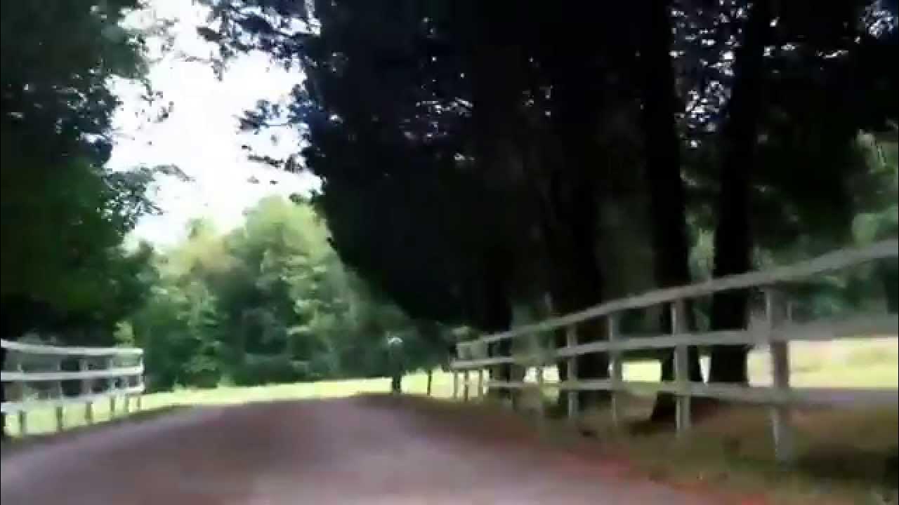 1st person view! - YouTube