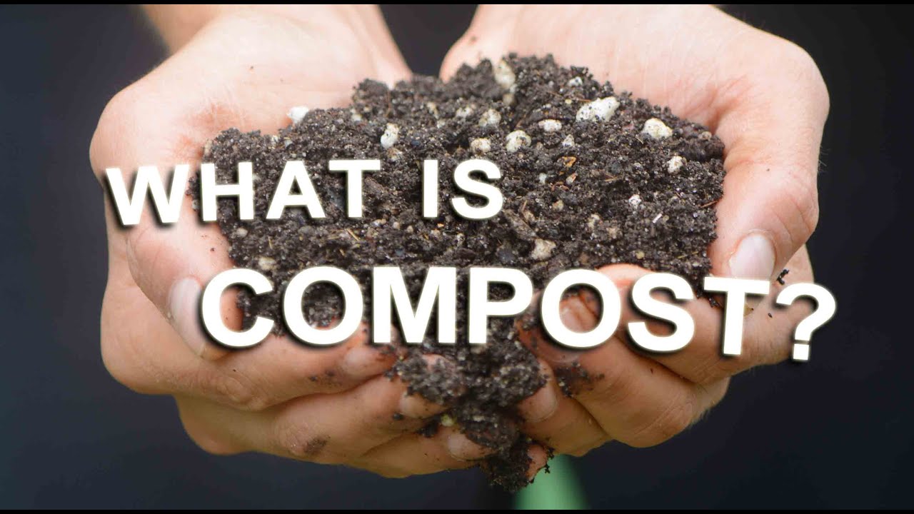 What Is Compost?: Easy and Simple - YouTube