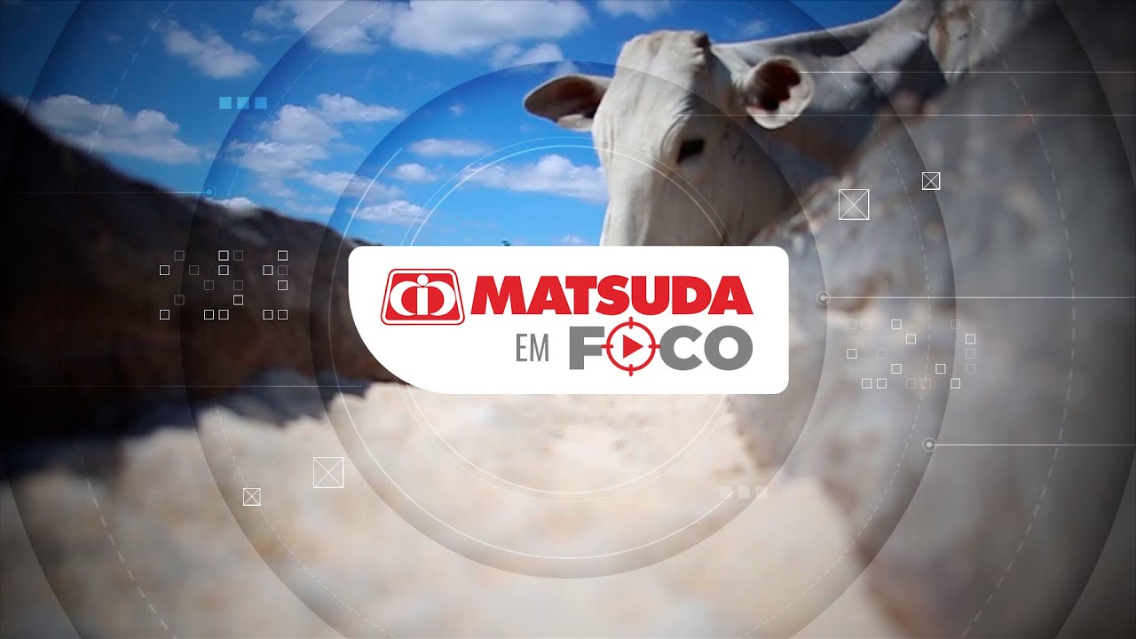 Matsuda em Foco l Importância dos microminerais na nutrição de bovinos ...