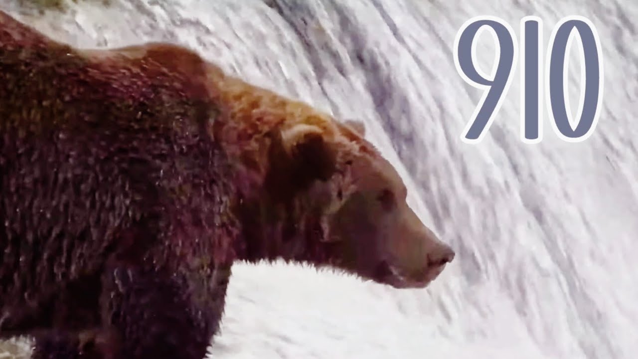 910's Head Flip On The Lip ︎ 8/20/25 ︎ Brooks Falls ︎ Explore.org - YouTube