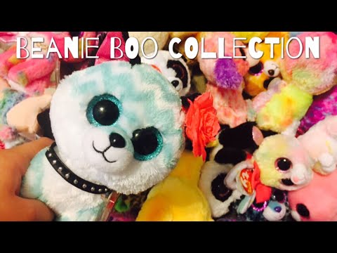 ENTIRE BEANIE BOO COLLECTION!!! (rares, exclusives, and more!!) - YouTube