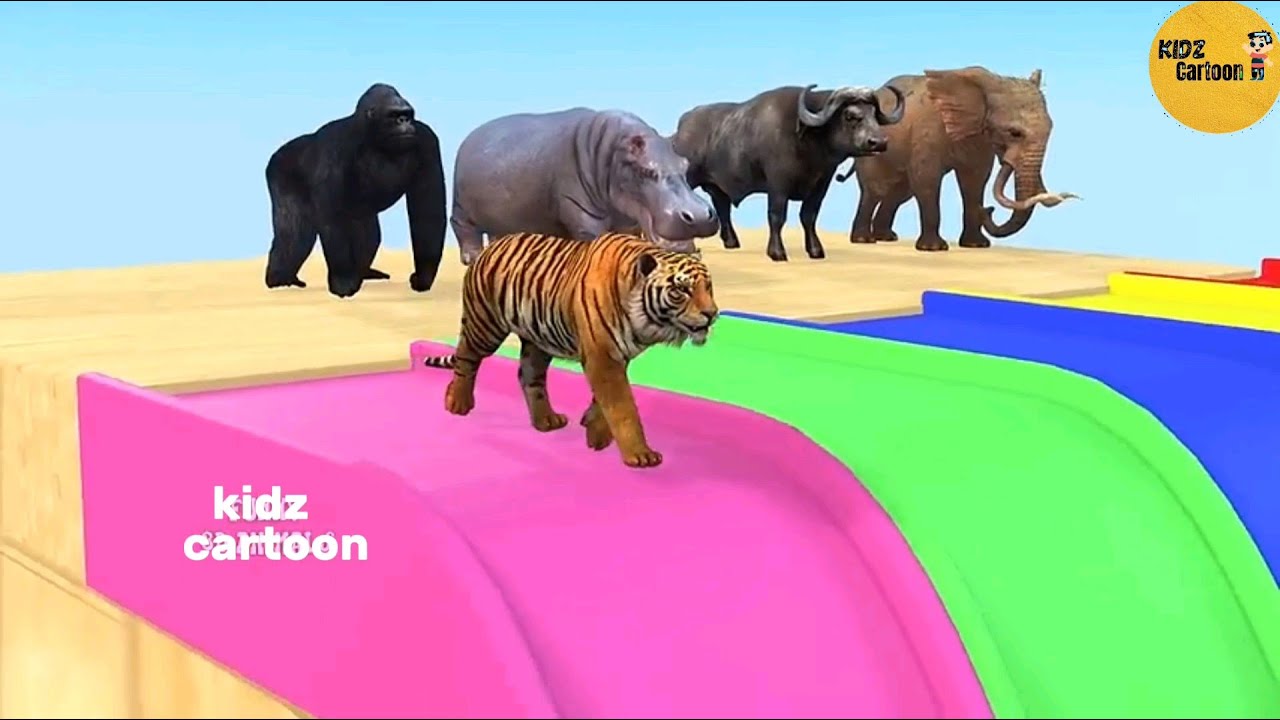 animal color cartoons with animal walk | baby cartoon videos | lion ...