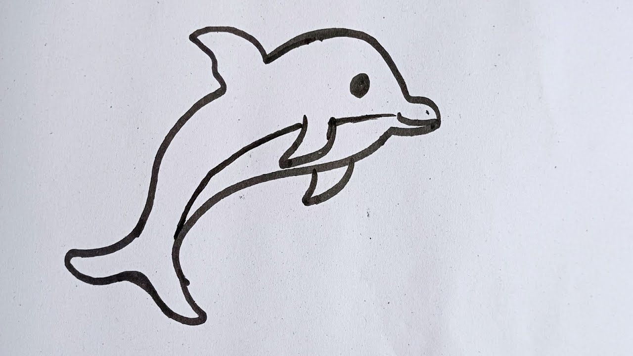 How To Draw Cute Dolphin Fish Drawing - YouTube