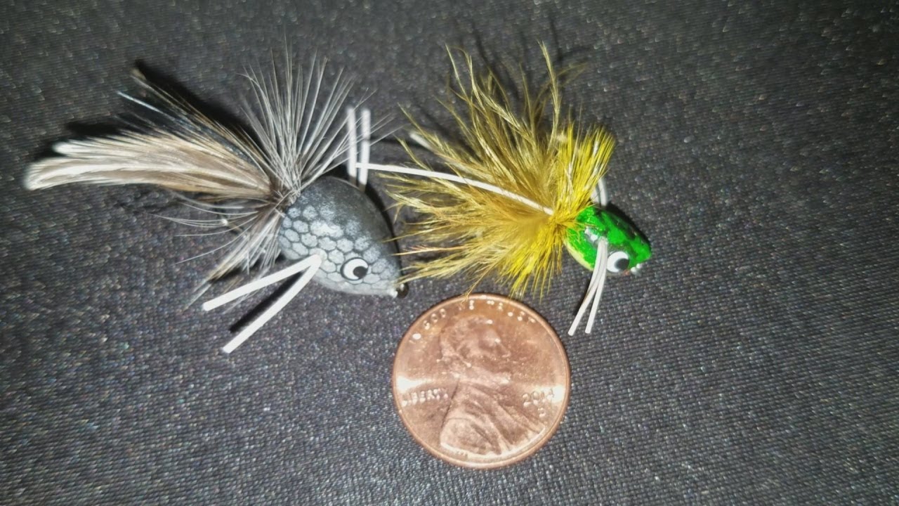 TOP WATER ACTION ON THE MICRO POPPER - YouTube
