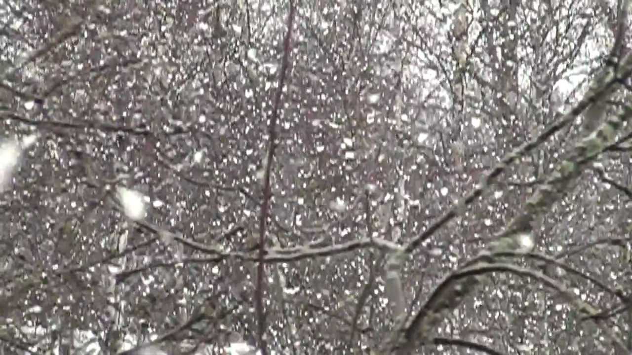 Great big snowflakes in slow motion - YouTube