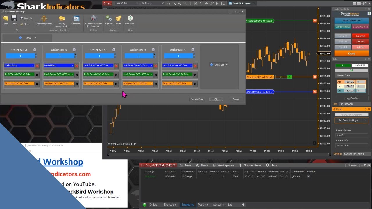 BlackBird - Typical Example of Market Entry + Scale-in Limit Entry With ...