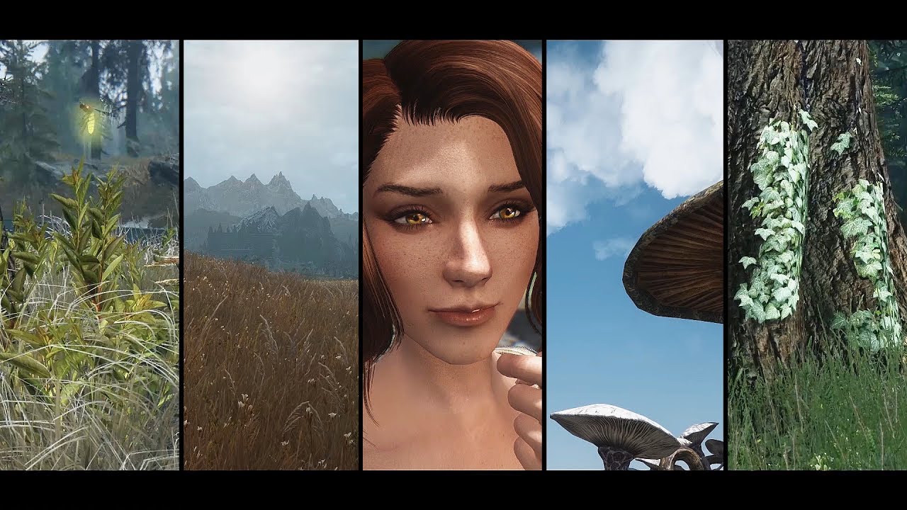 Realvision ENB is UPDATED! Realistic Graphic Mods 2017 - YouTube