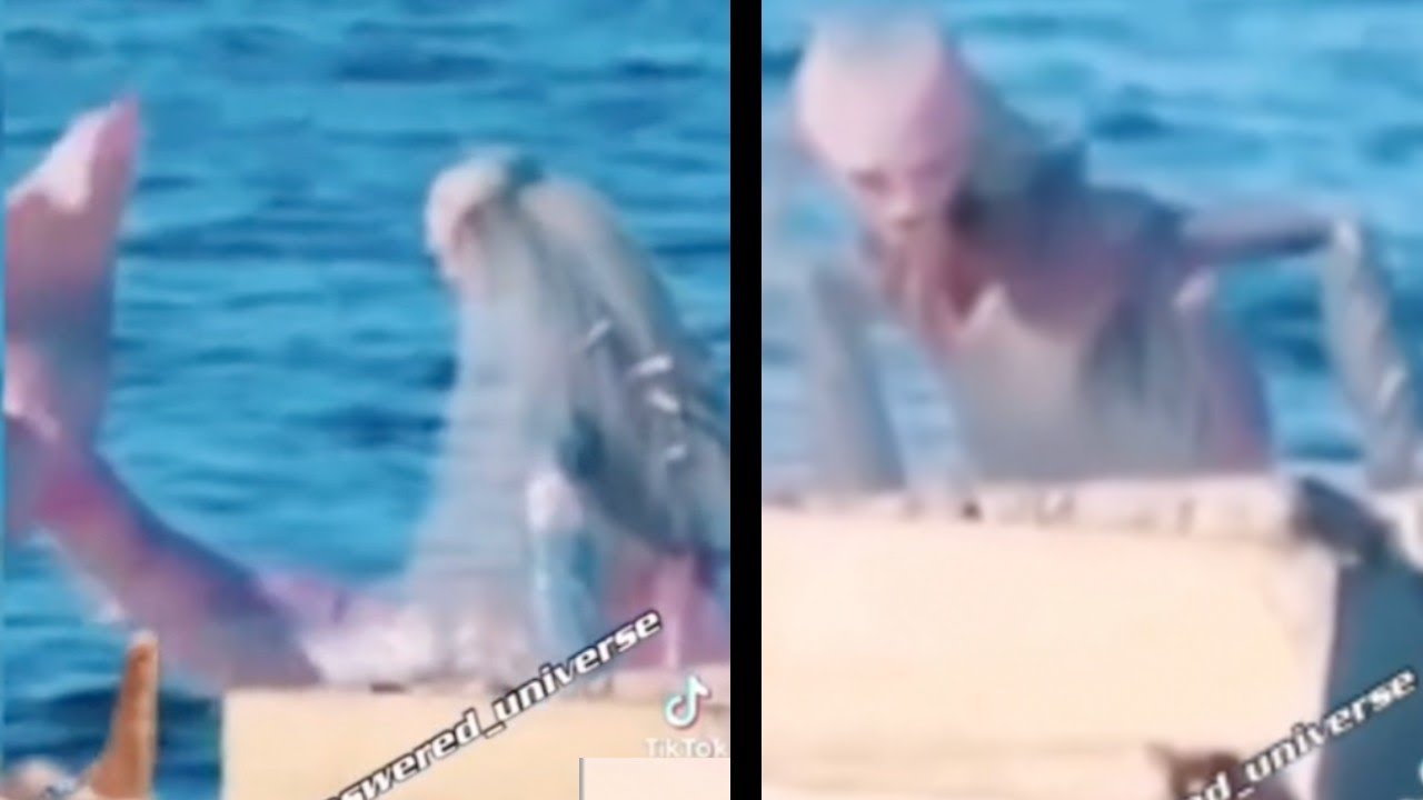 Real Mermaid Caught On Camera Youtube