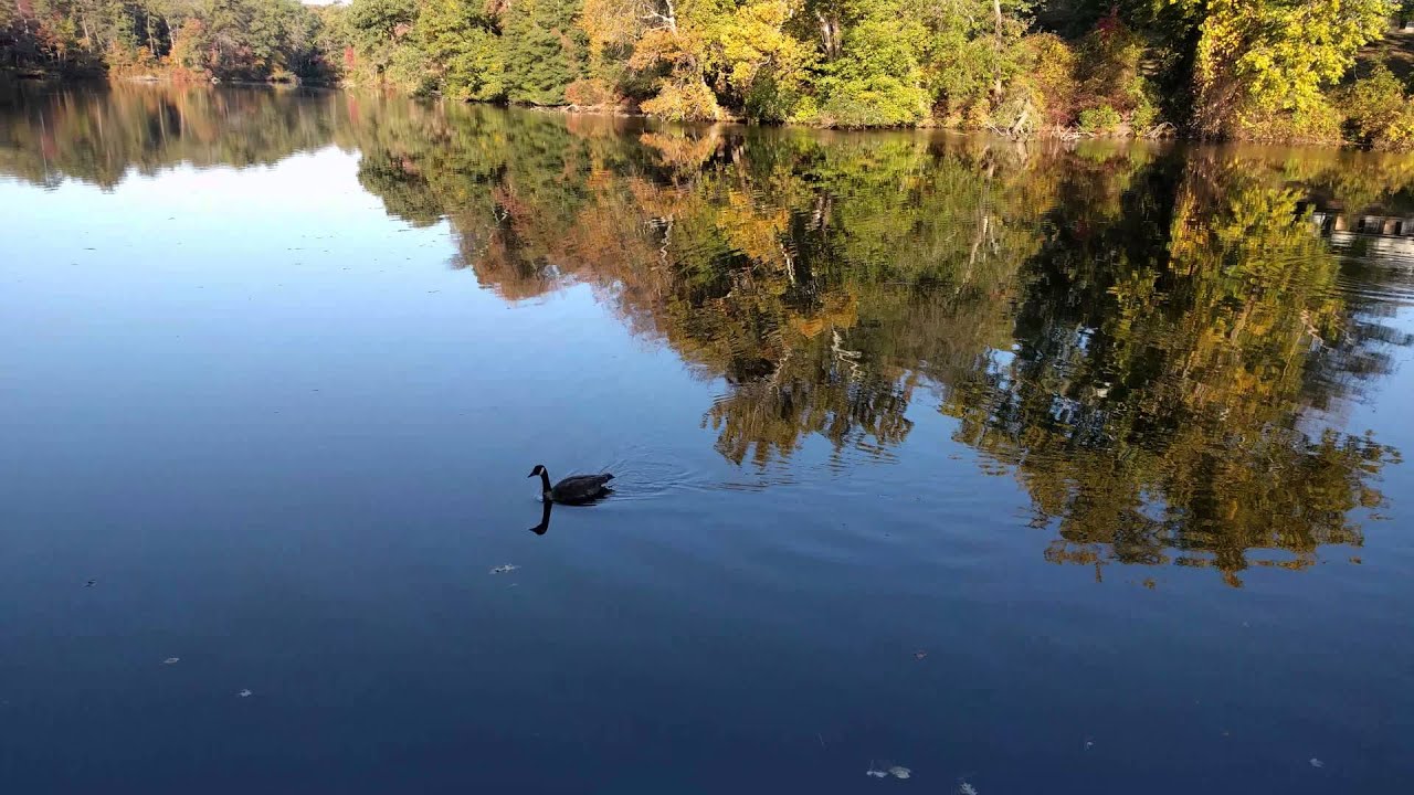 Nexus 5X 4K video sample - YouTube