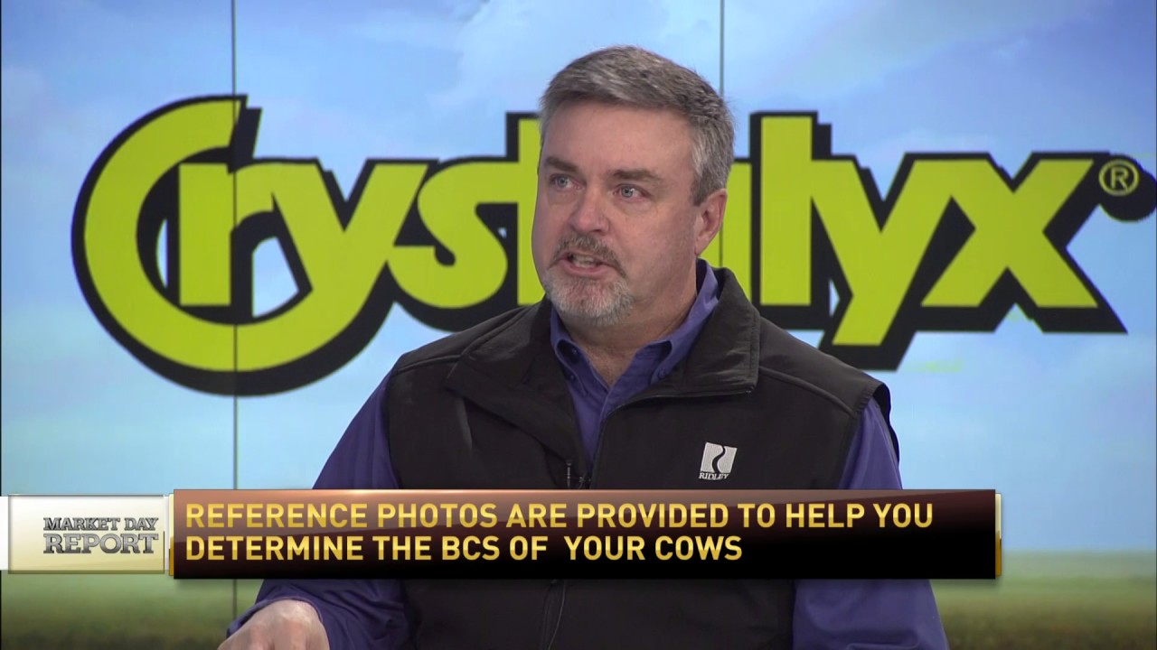 RFDTV MDR On Set with Mark Robbins - YouTube