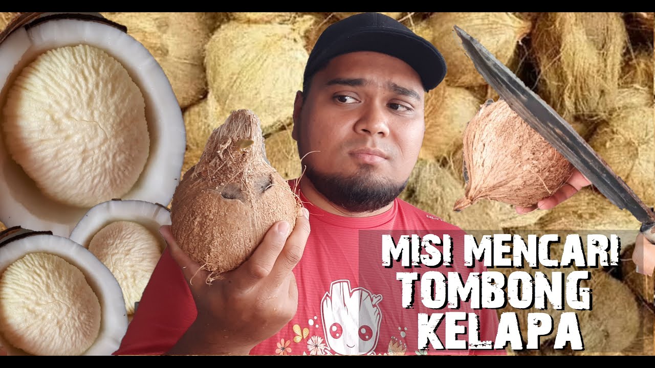 Tombong Kelapa @ Kentos @ Kumboi @ Cambah Kelapa - YouTube
