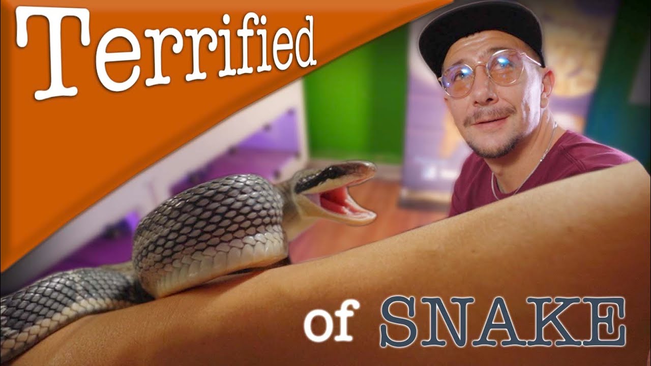 He's TERRIFIED of Snakes - YouTube