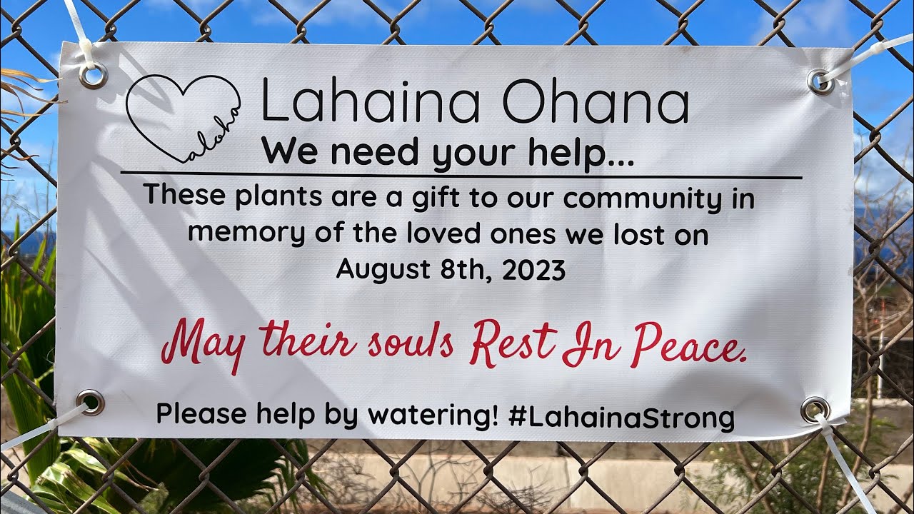 Lahaina fire: Part 7, “Lahaina Memorial” - YouTube