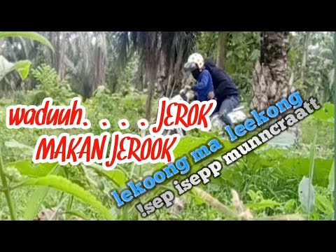 ALAMAAK BOCIL LANNANG BERKEMBANG BIAK || WADUUH JEROK MAKAN JEROOK !SEP !SEPP MUNNCRAATT