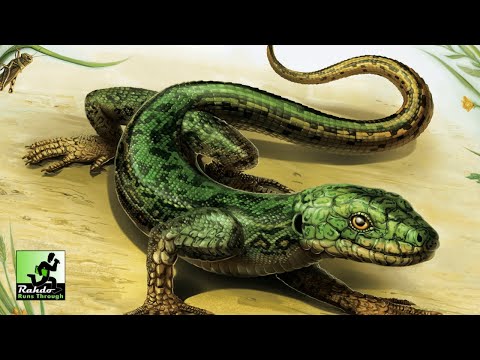 Evolution: New World | Board Game | BoardGameGeek