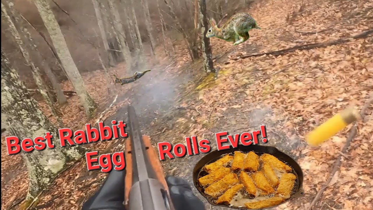 2023 West Virginia Rabbit Hunt (Catch and Cook Rabbit Egg Roll/Ragoon ...
