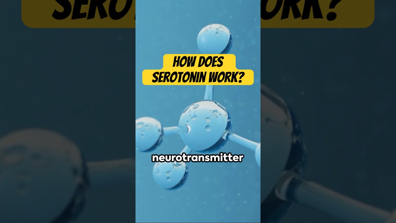 How Does Serotonin Work? #medical - YouTube