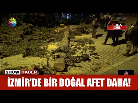 İzmir'de bir doğal afet daha!