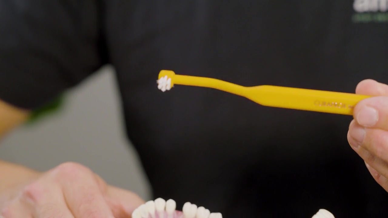 Cleaning Difficult to Reach Areas with Specialty Toothbrushes Eg End ...
