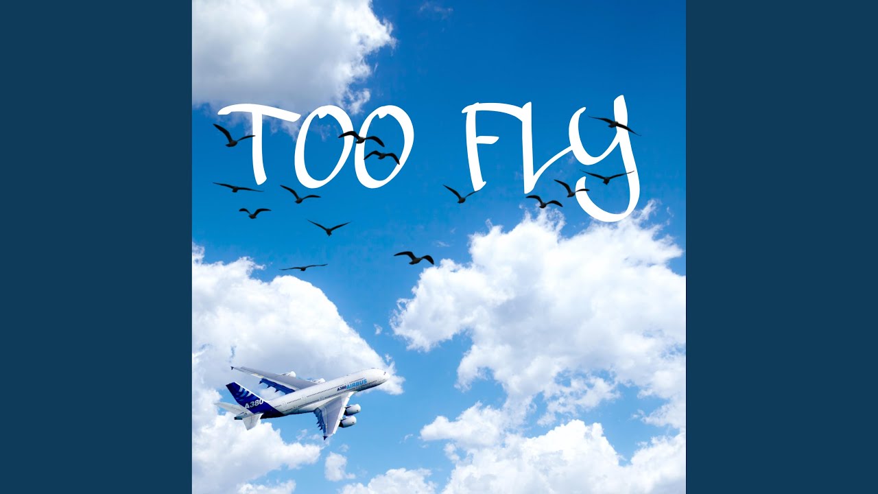 TooFly - YouTube
