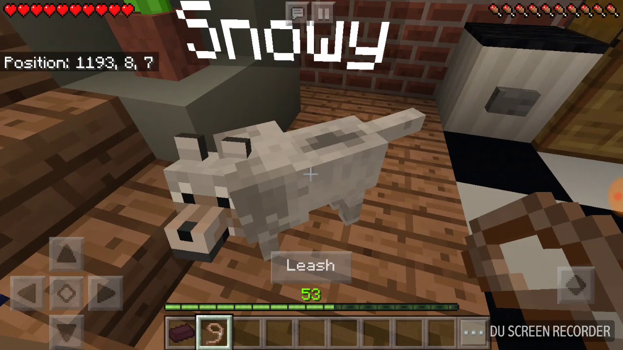 NIKKI MINECRAFT: Short roleplay! - YouTube