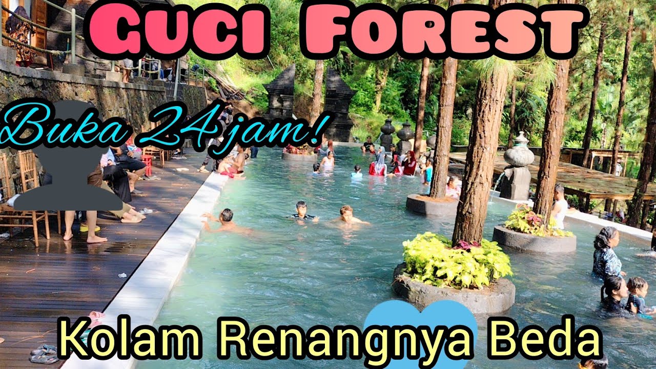 Guci Forest || Tempat Wisata Yang Lagi Viral Di Tegal - YouTube