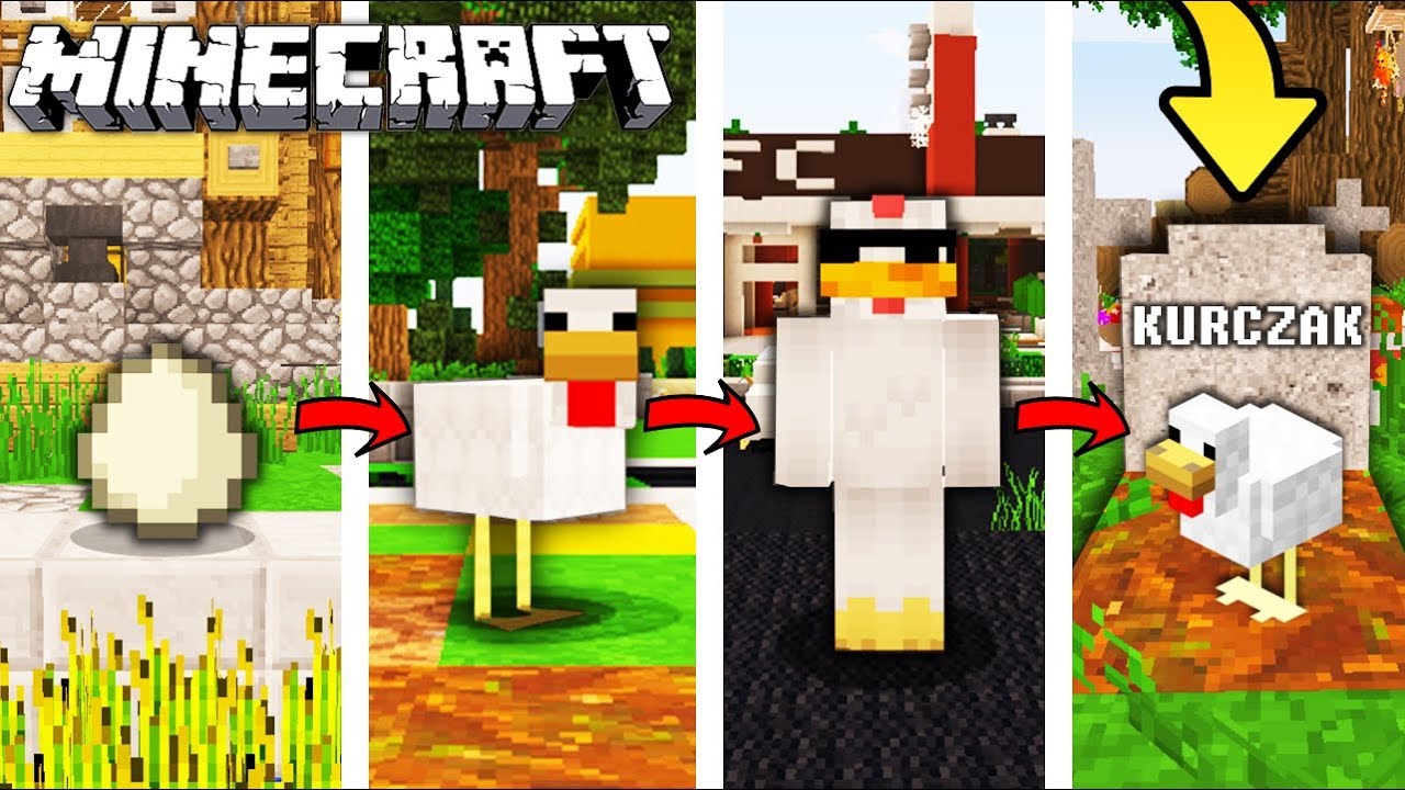 ŻYCIE KURCZAKA W MINECRAFT || OD NARODZIN DO ŚMIERCI - YouTube