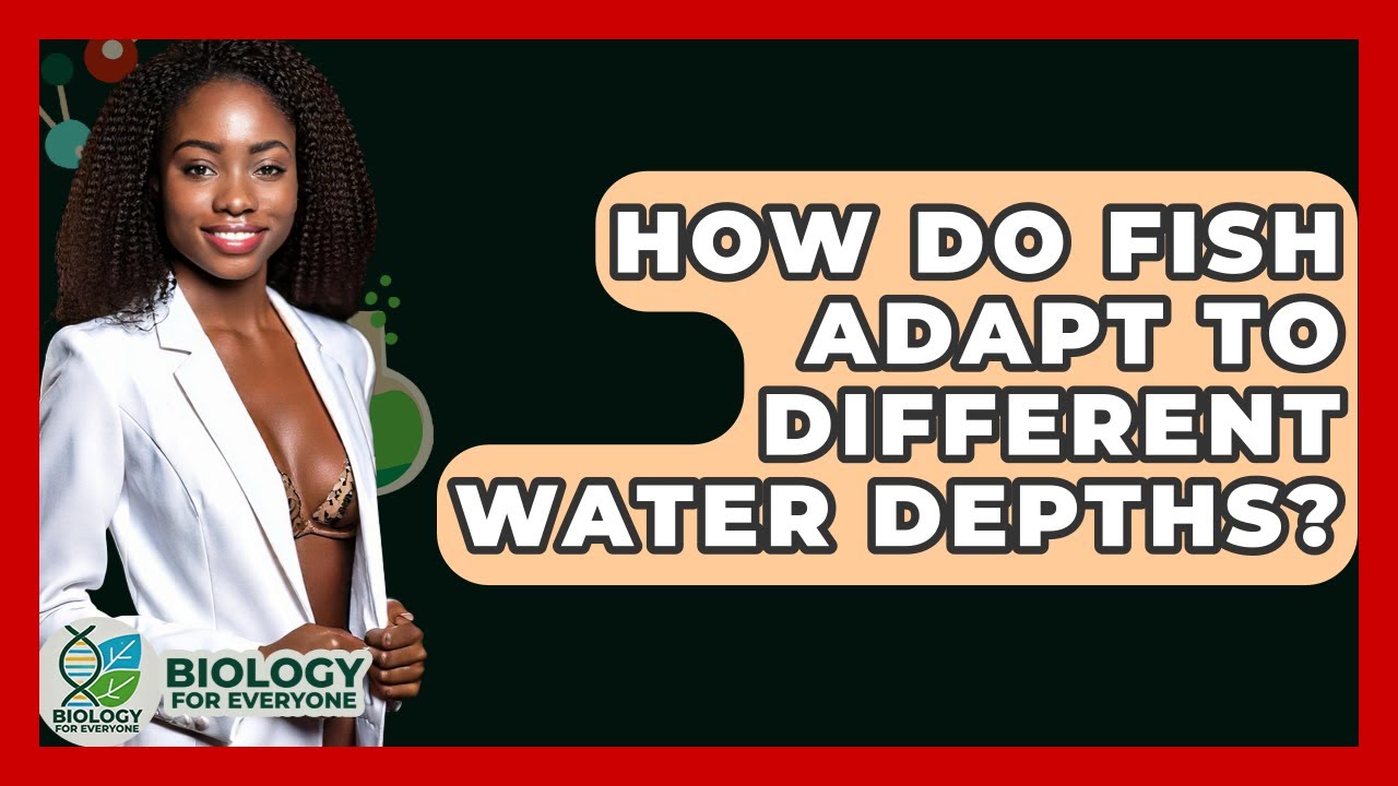 How Do Fish Adapt To Different Water Depths? - Biology For Everyone ...
