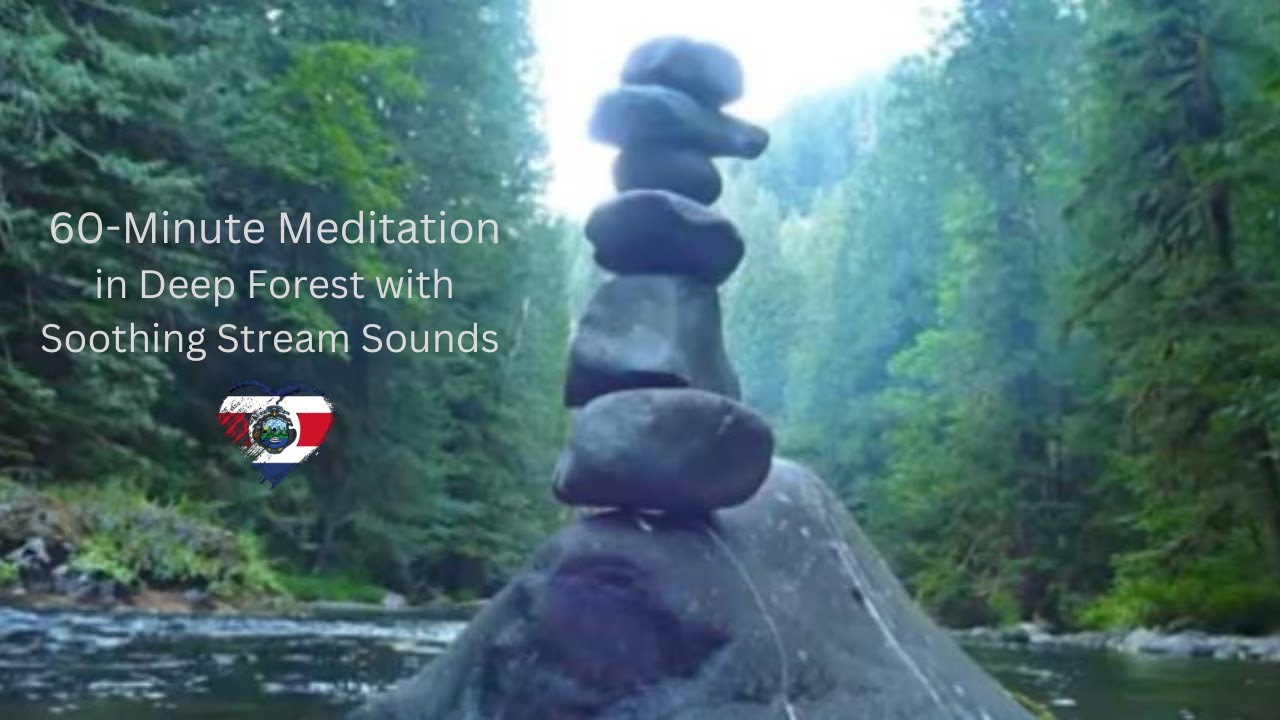 60-Minute Meditation in Forest with Soothing Stream Sounds: Relaxing ...