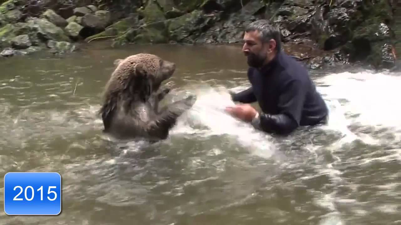 MAN PLAYS WITH A BEAR (Viral Videos) - YouTube