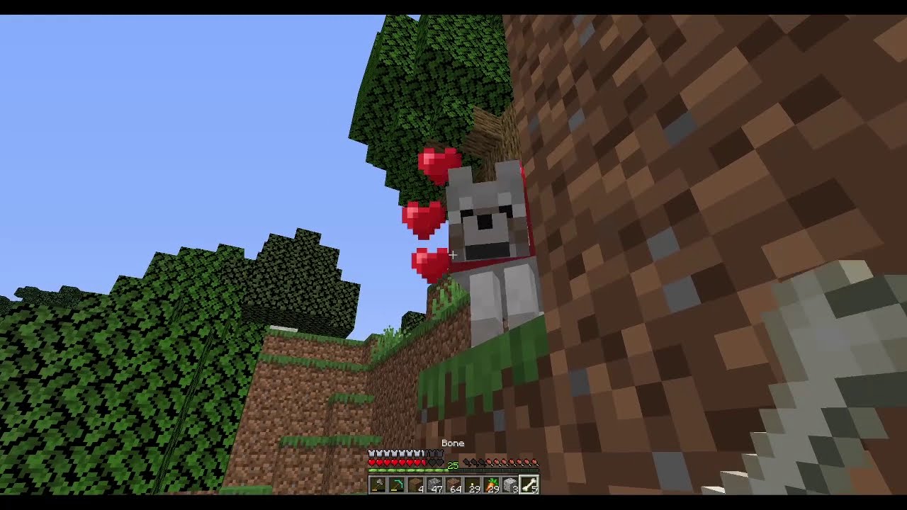 Starting a wolf army- Minecraft smp - YouTube