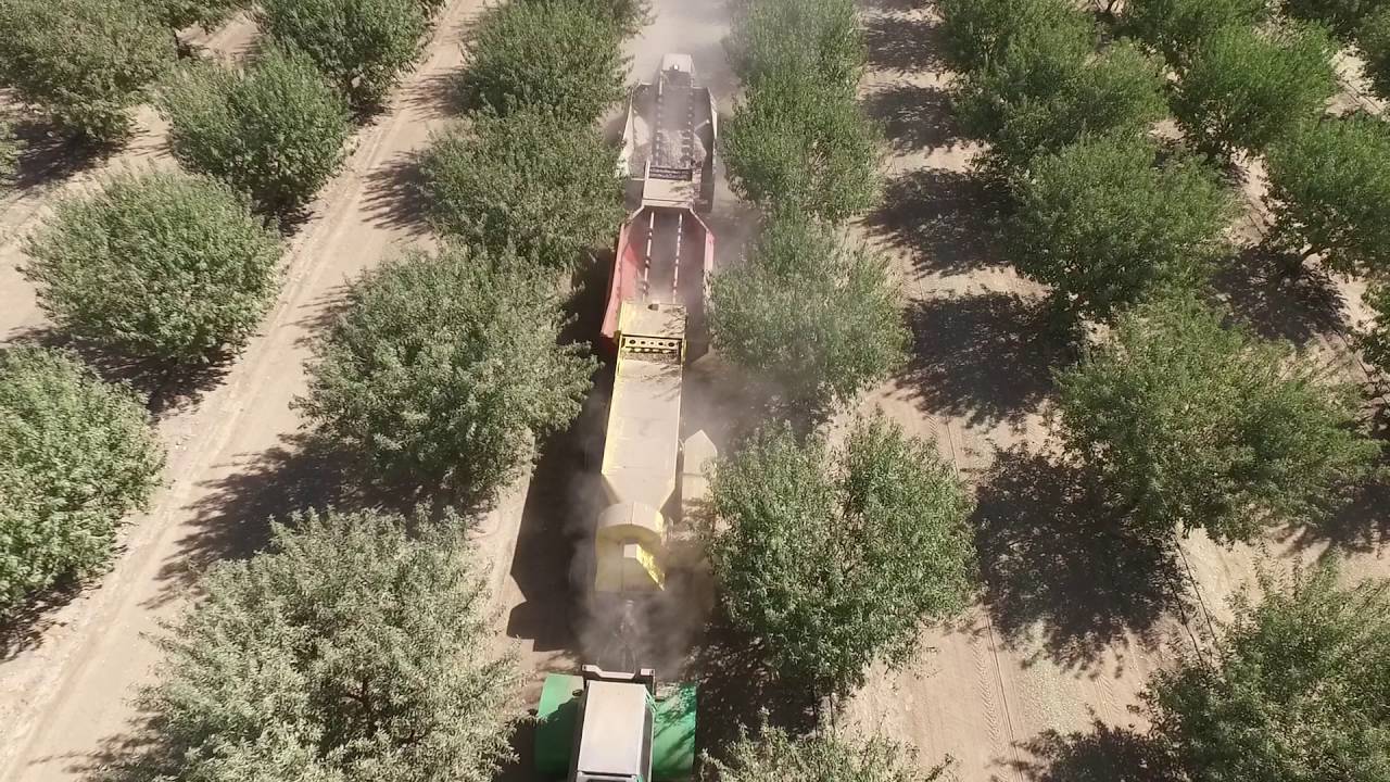 Exact E-3800 Almond Harvester dust comparison - YouTube